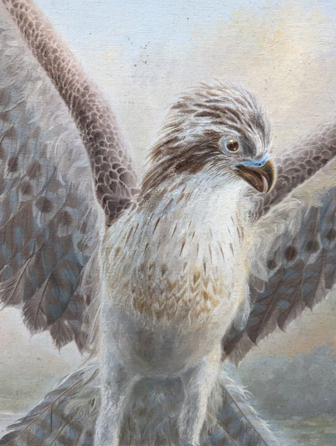 AMPIE GRANDI ALI Olio Su Tela 120cm Osprey Over River Eric Roberts EUR ...