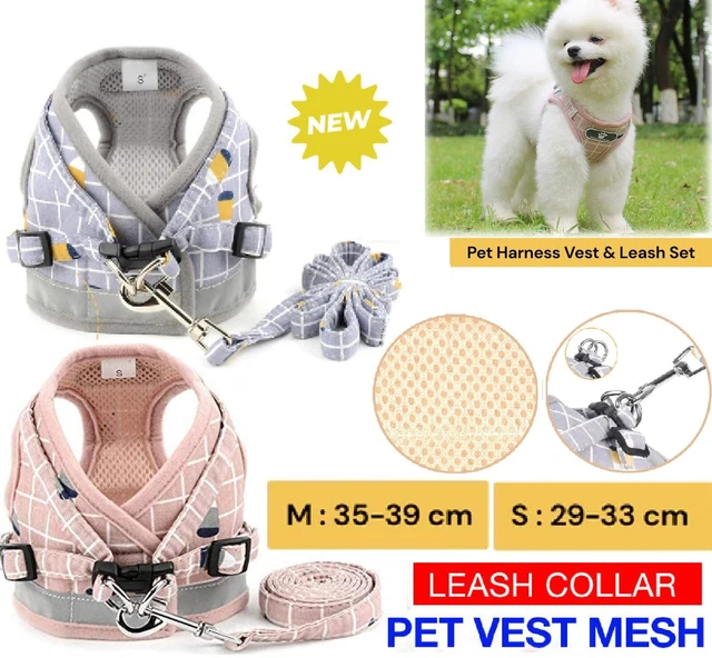 KITTEN DOG CAT Harness and Leash for Walking Adjustable Soft Pet Vest ...