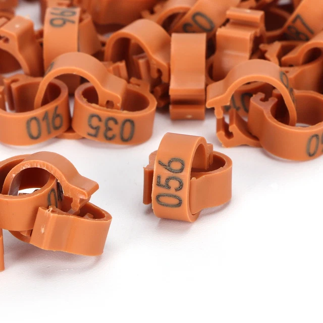 BIRD LEG BANDS Pigeons Identify Ring High‑quality Plastic Materials For ...