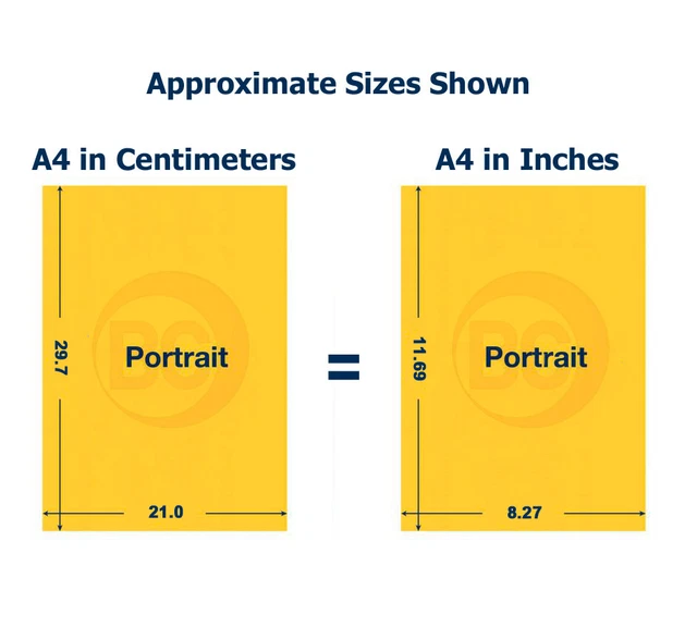 CELEBRITY PHOTO PRINT Olivia Casta 014 A4 Size Print £7.83 - PicClick UK