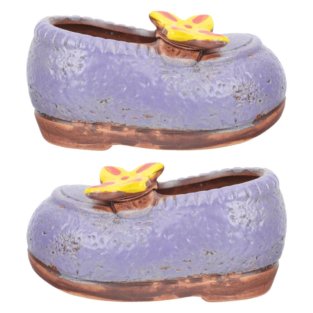 CHAUSSURE POT DE Fleur Succulente Porte-plantes Succulentes Miniature ...