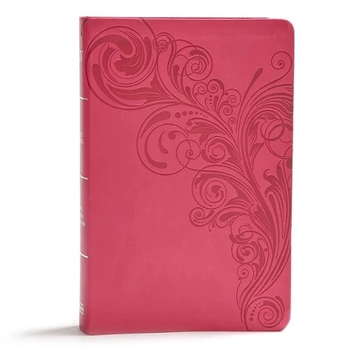 CSB BIBLES BY Ho KJV Giant Print Reference Bible, Pink LeatherT (de ...