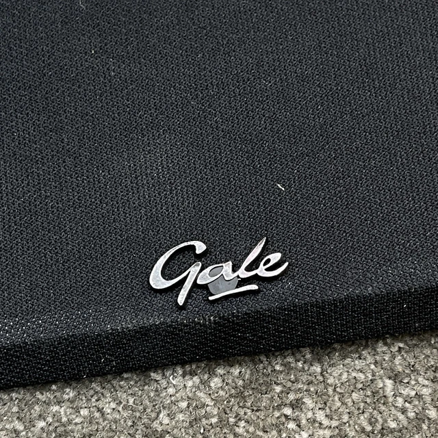 GALE ROCK MONITOR Bookshelf Speakers w/ Grills 8ohms Black Wooden ...