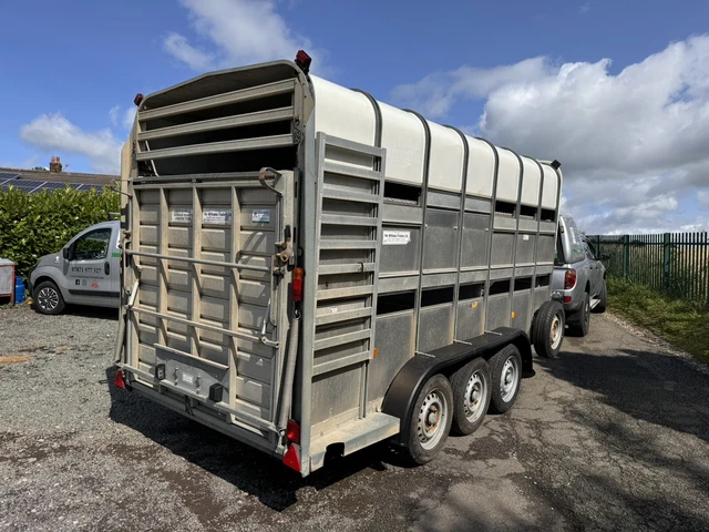 2012 IFOR WILLIAMS TA510G-14 Tri Axle Livestock Trailer with Decks PLUS ...