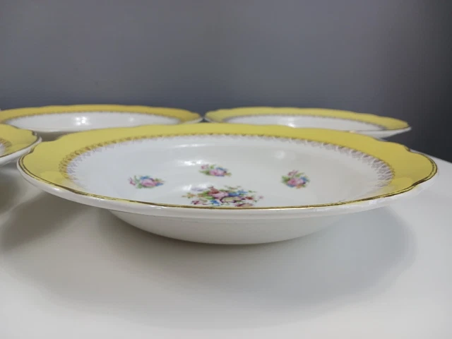 11 X DIGOIN Sarreguemines GRAZIELLA Pattern Soup Bowls - France - 24 cm ...