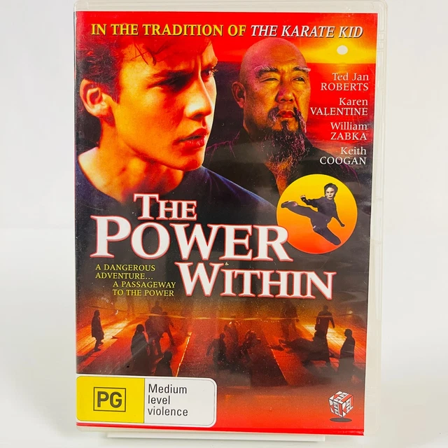 THE POWER WITHIN (DVD, 1995) Ted Jan Roberts Kung Fu Region 4 Rare OOP ...