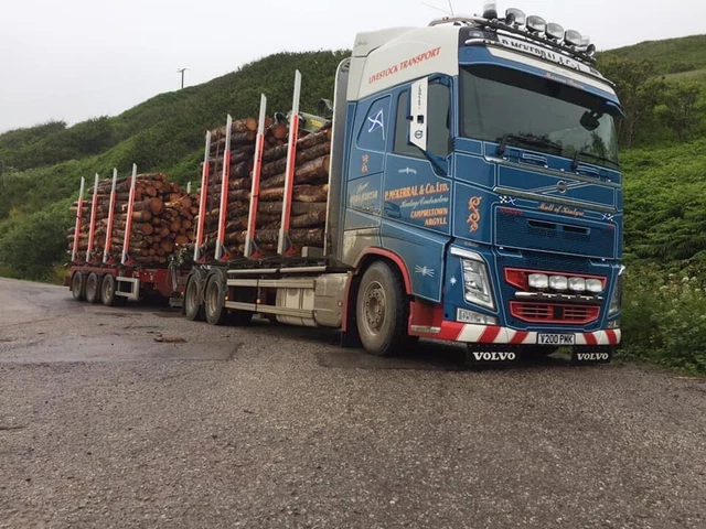 TEKNO 84850 VOLVO Fh4 Camion & Remorque Transport De Bois Avec ...