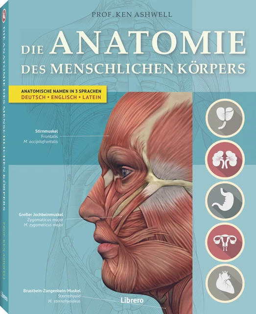 KEN ASHWELL / Der Menschliche Körper EUR 19,95 - PicClick DE