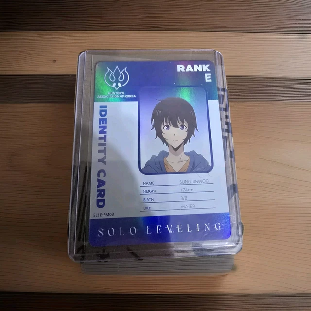 MAPNIVERSE SOLO LEVELING Sung Jinwoo Hunters Association Of Korea ...