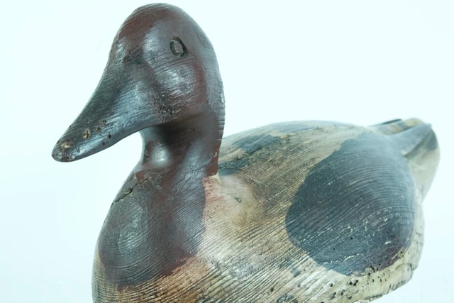 ANTIQUE CALLER NATUAL Chasse Duck Wooden Carved Popular Art Polychrome ...