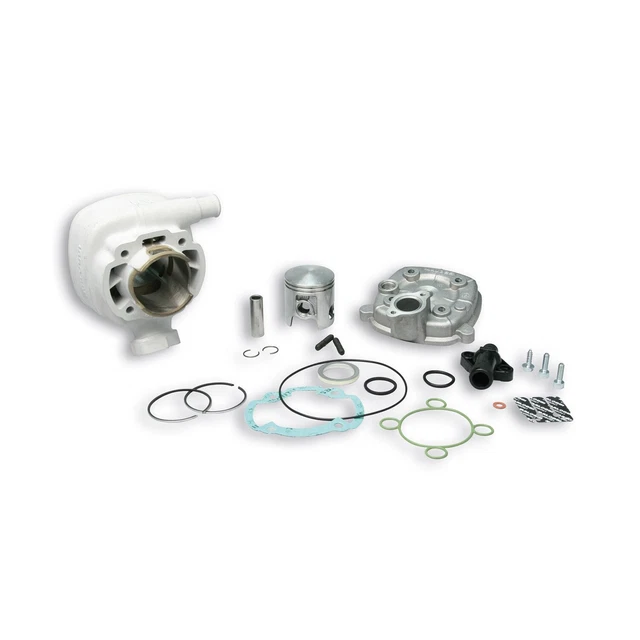 GROUPE THERMIQUE MALOSSI 319477 Pour Peugeot Speedfight X-Fight EUR 271 ...