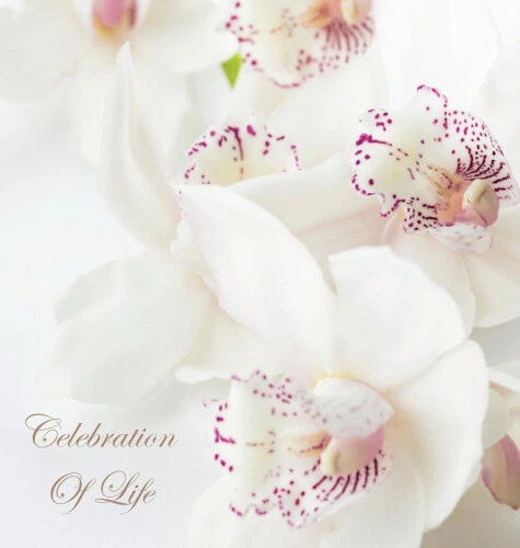 CELEBRATION OF LIFE, In Loving Memory Funeral Guest Book, Wake, Loss ... CELEBRATION OF LIFE, In Loving Memory Funeral Guest Book, Wake, Loss ...