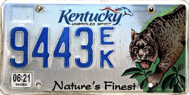 KENTUCKY BOBCAT / Lynx Original Plaque D'Immatriculation USA Kfz ...