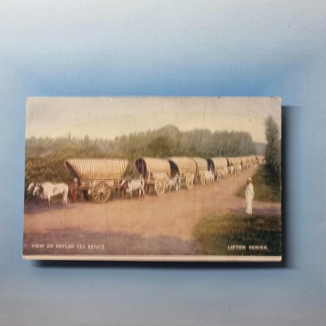 LIPTON ADVERTISING POSTCARD C1910 Tea Carts Cows Transit Ceylon £7.95 ...