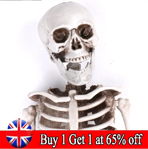 LARGE POSEABLE FULL Life Size Human Skeleton Prop Halloween Party Decor ...
