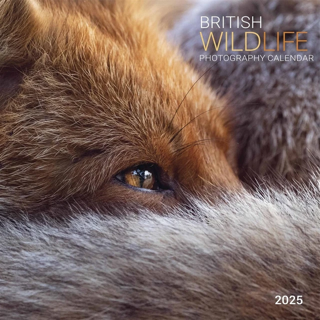 BRITISH WILDLIFE PHOTOGRAPHY Calendar 2025 - Animal - Month To View £9. ...