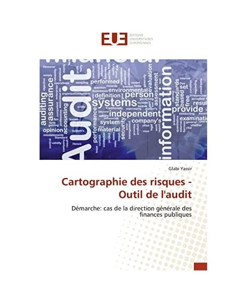 CARTOGRAPHIE DES RISQUES - Outil de l'audit: Démarche: cas de la direction gén EUR 18,59 ...