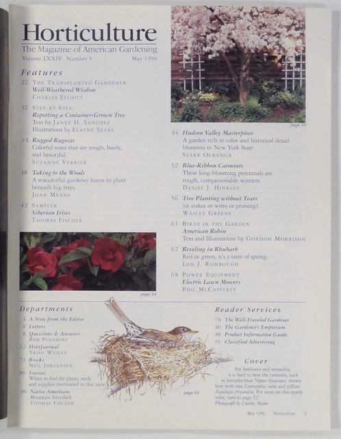 1996 HORTICULTURE CATMINTS RUGOSA ROSES gardening under trees GREAT ...