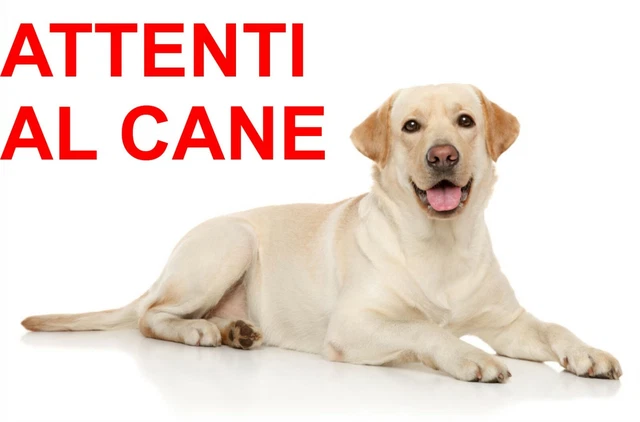 CARTELLO PERSONALIZZATO “ATTENTI al cane” con foto e nome del tuo cane ... CARTELLO PERSONALIZZATO “ATTENTI al cane” con foto e nome del tuo cane ...