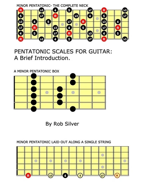 PENTATONIC SCALES FOR Guitar: A Brief Introduction EUR 15,95 - PicClick FR