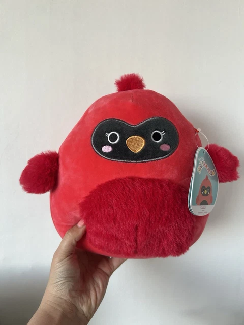 SQUISHMALLOWS CAZLAN RED Bird Northern Cardinal Soft Plush Toy 8.5” Tag ...