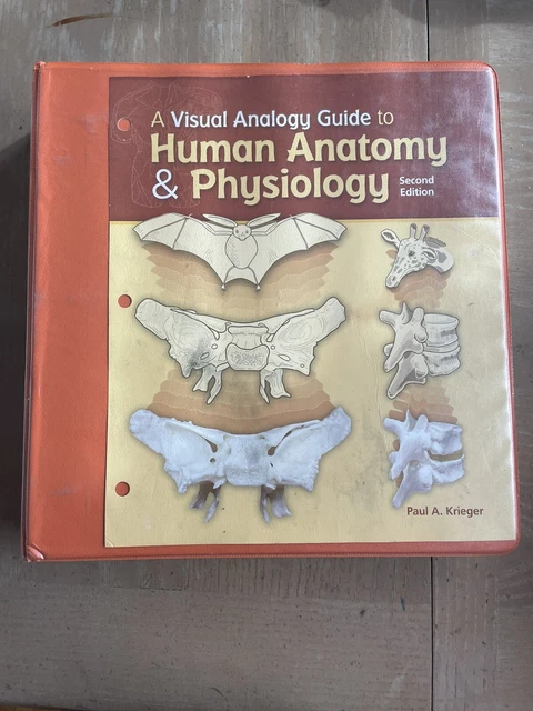 A VISUAL ANALOGY Guide to Human Anatomy / Physiology deuxième édition ...