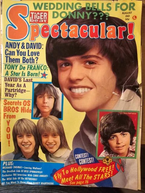 TIGER BEAT SPECTACULAIRE Août 1973 Donny Osmond David Cassidy De Franco ...
