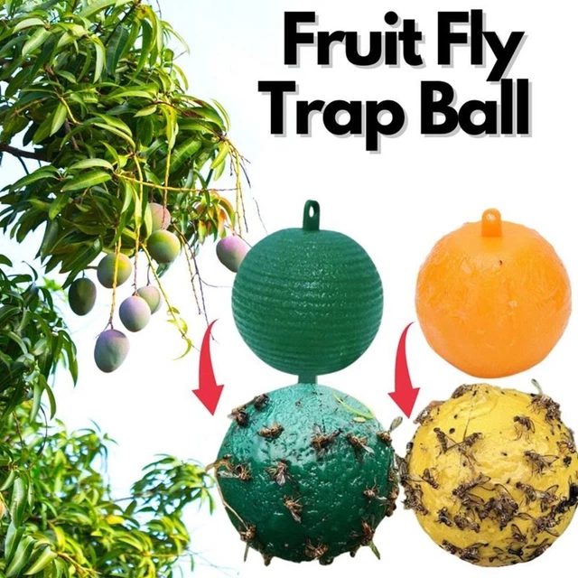 YELLOW GREEN FLY Trap Ball Glueing Fly Catcher Sticky Fly Sticky Traps ...
