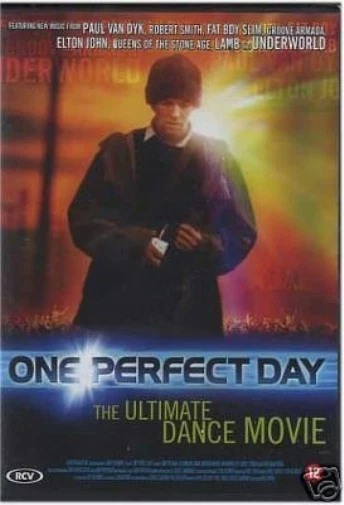ONE PERFECT DAY ( 1 Perfect Day ) [ NON-USA FORMAT, PAL, Reg.2 Import ...