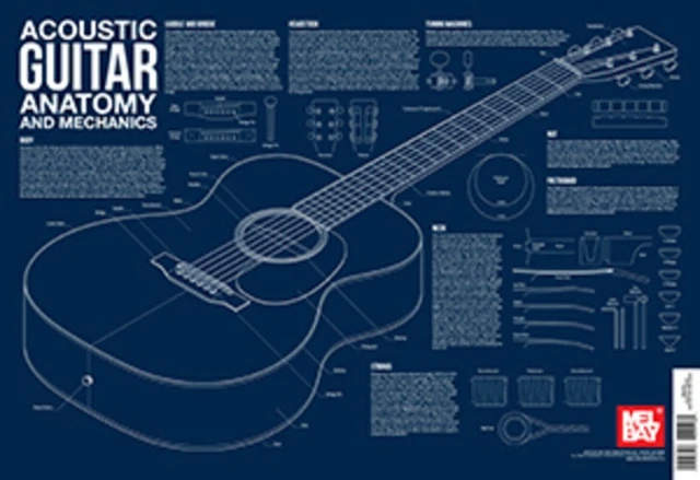 Mel Bay Publications Acoustic Guitar Anatomy Wall Chart 31 95