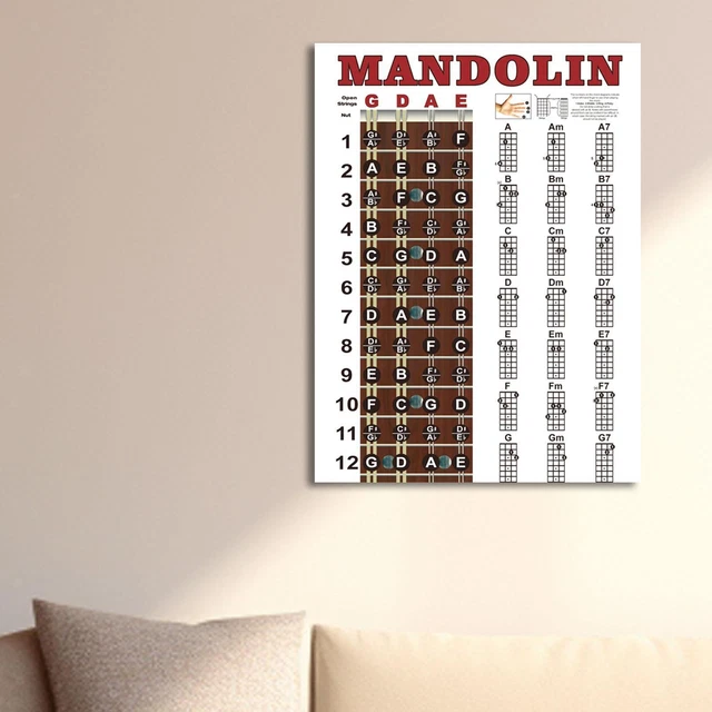 MANDOLIN CHORDS CHART Poster 22.05''x15.75'' Wall Chart Note Chart ...