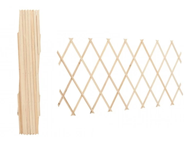 TREILLIS EN BOIS Filet Extensible Plantes Grimpante Clôture 180x60cm ...