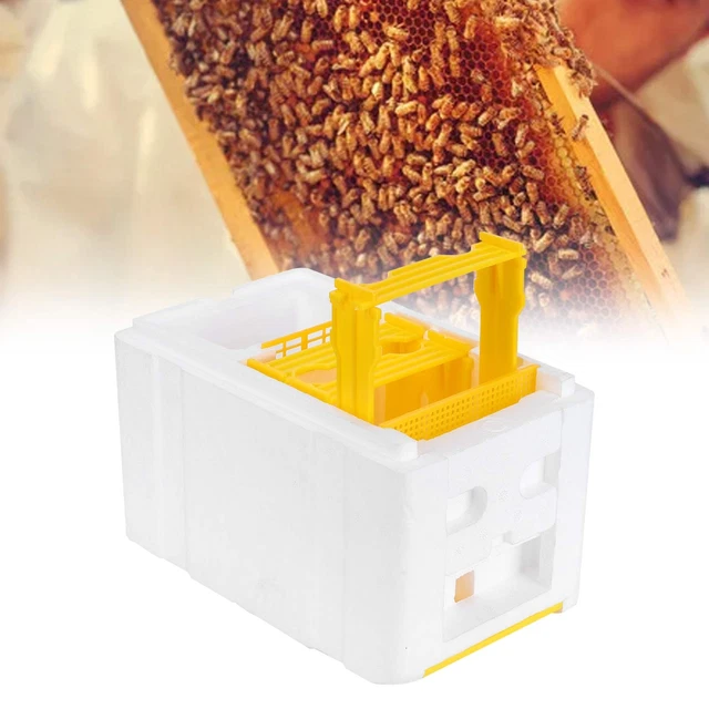 MINI BEEHIVE QUEEN Bee Mating Box Pollination High Density Foam SD £19. ...