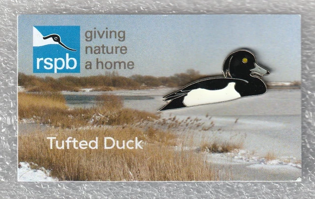 RSPB PIN BADGE - Tufted Duck - Dungeness Reserve £7.99 - PicClick UK