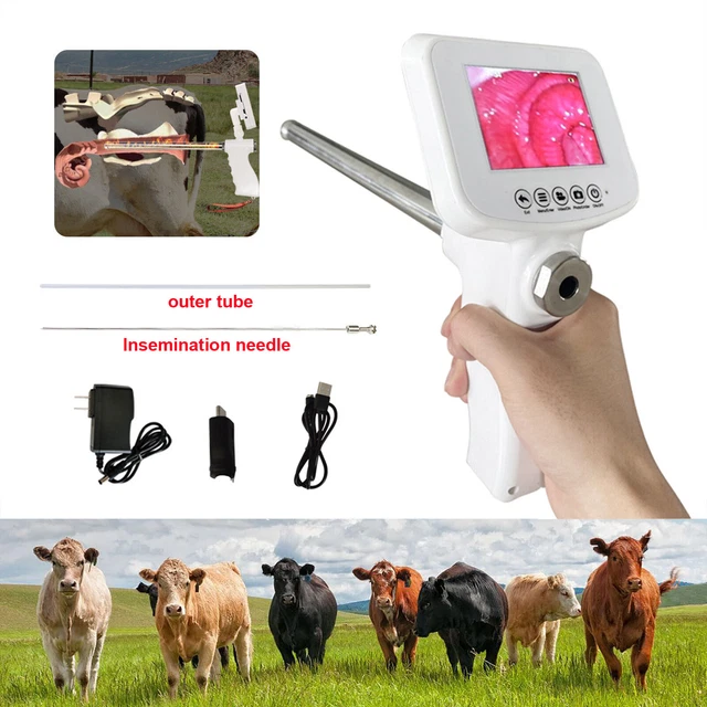 COW ARTIFICIAL INSEMINATION Visual Endoscope Sperm AI Gun Tool Kits Horse Cattle £196.99 ...