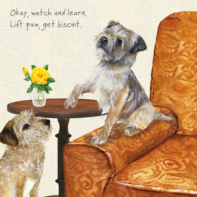 LITTLE DOG LAUGHED - Border Terriers Greeting Card £3.45 - PicClick UK