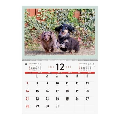 CALENDARIO 2026 DACHSHUND Senryu EUR 32,09 - PicClick IT
