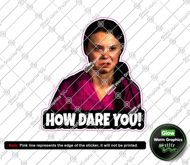 How Dare You Greta Thunberg Funny Drift Van Jdm Euro Vw Car Sticker Vinyl Decal £299 Picclick Uk