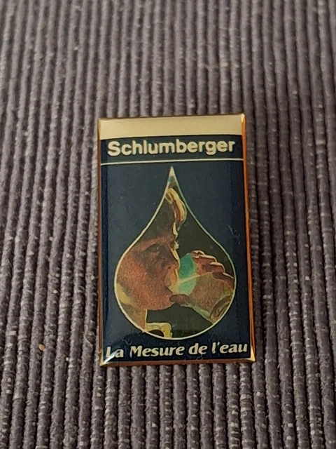 PIN'S PINS BADGE Schlumberger Mesure De L'eau Compteurs Instruments De ...