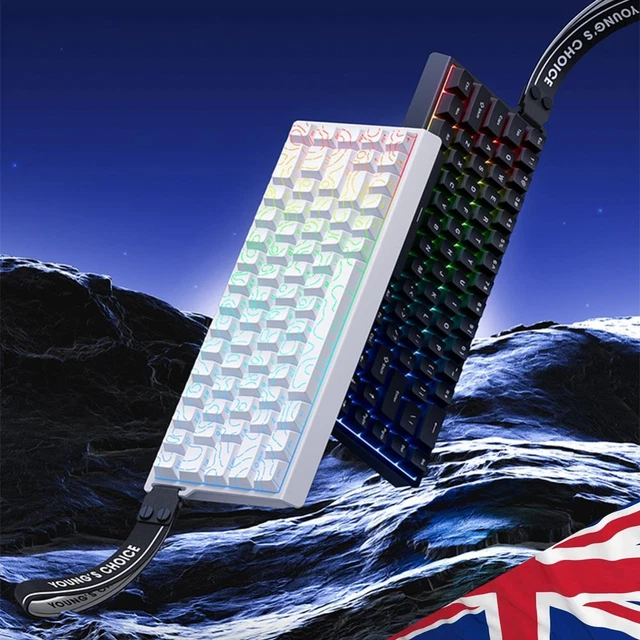 WIRED MECHANICAL KEYBOARD with Magnetic Switch Compact Keyboard for PC ...