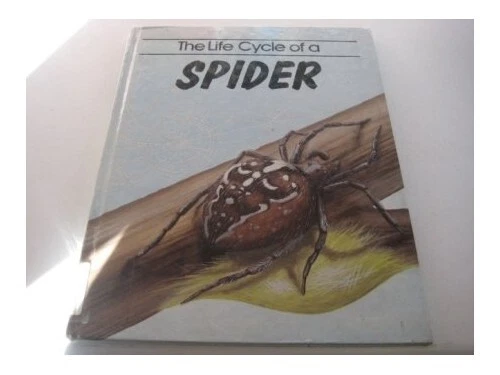 THE LIFE CYCLE Of A Spider £4.55 - PicClick UK