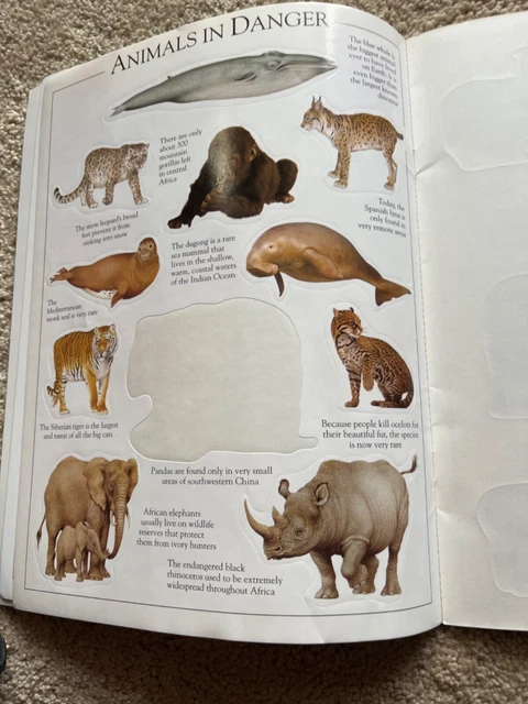 DK ~ ANIMAL Ultimate Sticker and My First Animal Board Book ~ Bonus ...