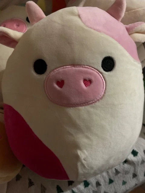 8 INCH VALENTINES Day Caedyn the Cow Squishmallow BNWT $40.00 - PicClick CA