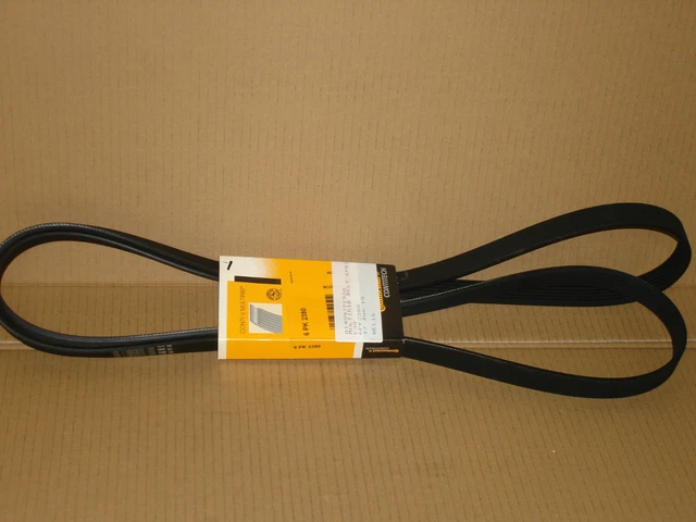 CEINTURE CÔTE CONTITECH / Taille 6Pk 1538 Numéro De Pièce Bmw ...