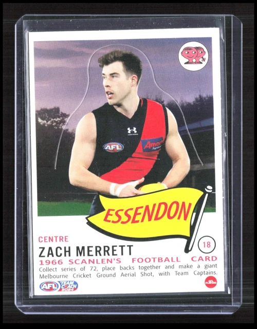 AFL 2024 TEAMCOACH Scanlen's Essendon Zach Merrett 18 Football Card CB ...