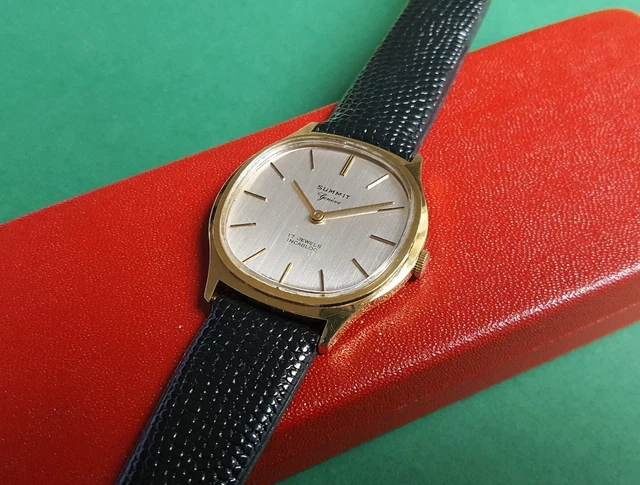 RARE VINTAGE SWISS Mechanical Gents watch SUMMIT Geneve - 17 Jewels ...