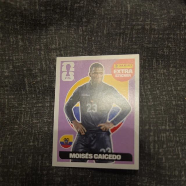 PANINI FIFA WORLD Cup 2026 Sticker Collection - Caicedo Purple Extra ...