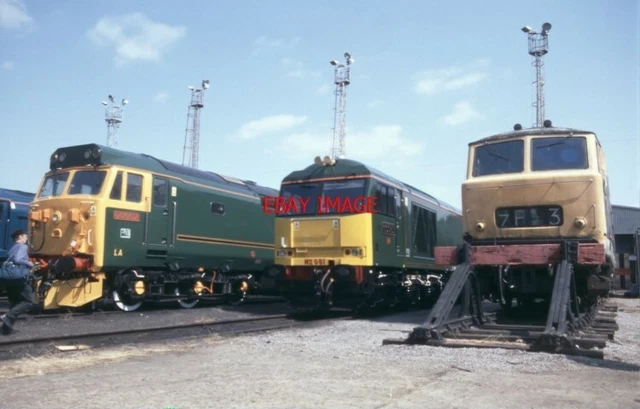 PHOTO CLASS 50 50007 And 50050 At Salisbury Taken During A Nse Steam ...