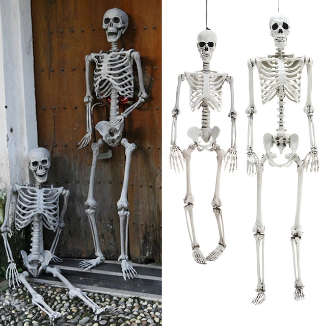 HALLOWEEN POSEABLE SKELETON HUMAN SKELETON LIFE SIZE 6FT 5FT TALL ...