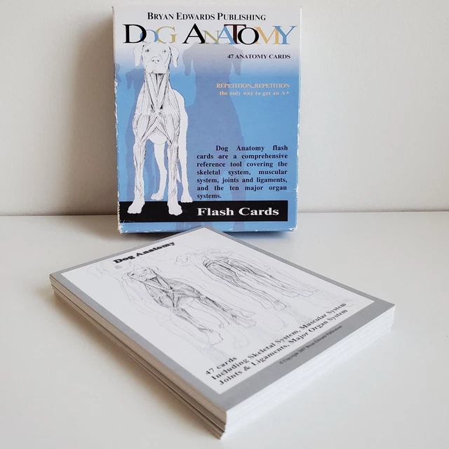 DOG ANATOMY FLASH Cards Set Body Part Skeleton Bryan Edwards Publishing ...